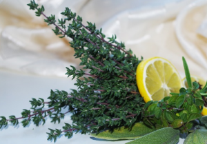 Tomillo, propiedades medicinales, beneficios y usos en remedios caseros ECOagricultor®