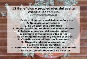 Aceite Esencial de Tomillo: propiedades, cómo usarlo y contraindicaciones | ECOagricultor